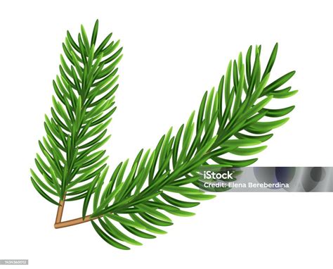 녹색 전나무 가지 투명한 배경에 크리스마스와 새해를위한 장식 전단지 엽서 가격표 초대장 크리스마스 트리 벡터 래스터 없음을위한