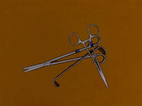 Surgical Tools Instance Segmentation Instance Segmentation Model By Hslu