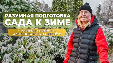 Разумная подготовка сада к зиме Что сделать сейчас а что оставить на весну Youtube