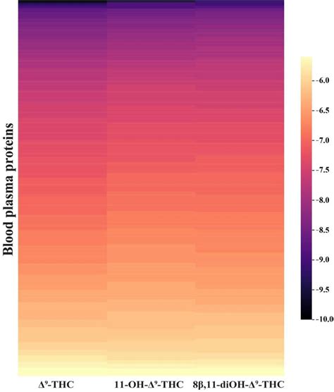 Blood Plasma Proteins