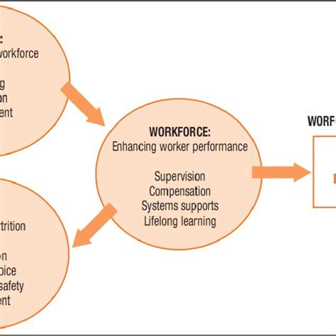 1 working lifespan strategies download scientific diagram
