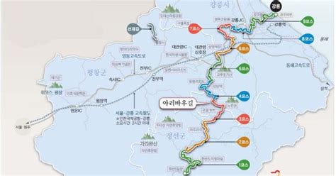 올림픽 아리바우길 걷기축제 정선시장에서 첫발 물길 따라 철길 따라 동해바다로 가는 길