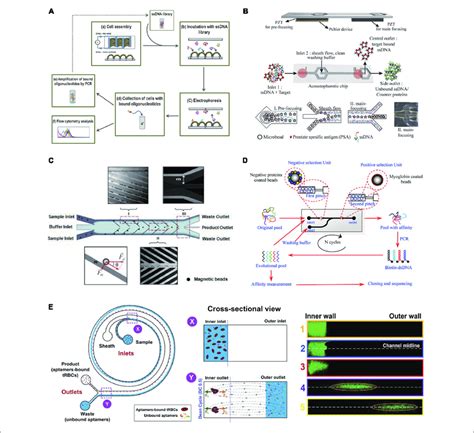 Force Field Driven Microfluidic Chips A Dielectrophoresis And Download Scientific Diagram