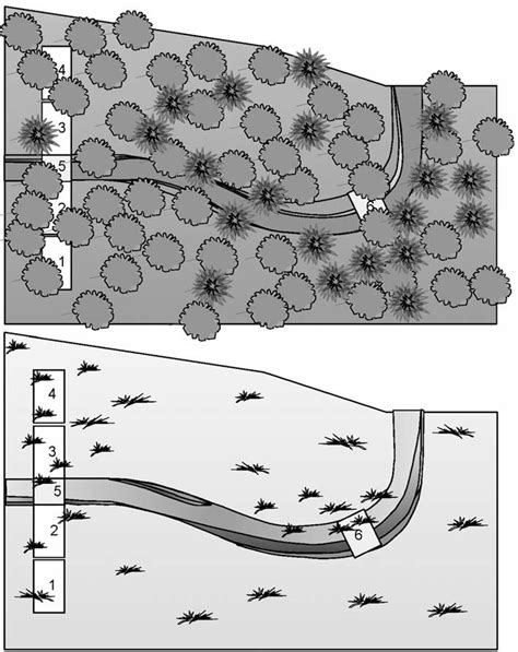 A Conceptual Layout Of Rectangular Plots In A Humid Top Or Semi Arid Download Scientific