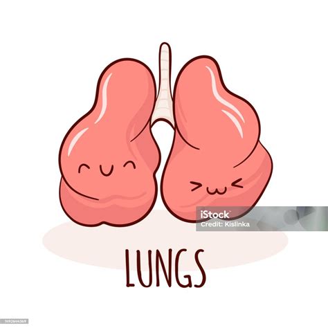 폐 캐릭터 재미있는 얼굴을 가진 만화 마스코트 폐 인체 해부학 훈련 카드 귀여운에 대한 스톡 벡터 아트 및 기타 이미지 귀여운 내부 기관 벡터 Istock