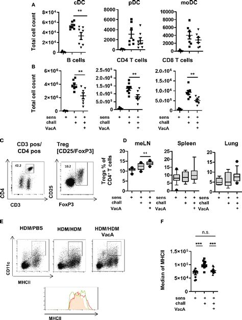 Figure 2 From Treatment With Helicobacter Pylori Derived Vaca