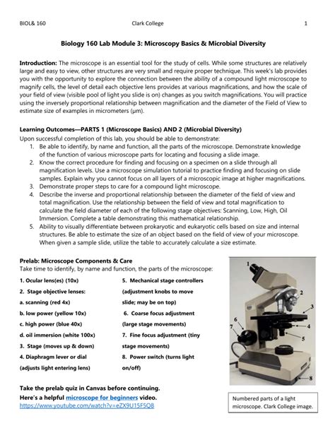 Microscopy Basics And Microbial Diversity Lab Module Bioland 160