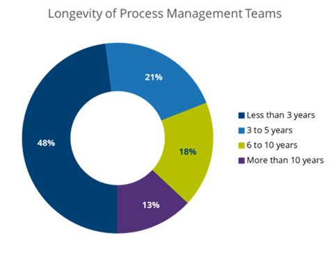 Process Management Faq Roles And Skillsets Apqc
