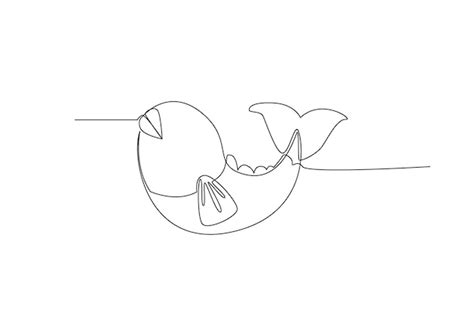 무료로 다운로드 가능한 고래 그림 벡터 And 일러스트 Freepik