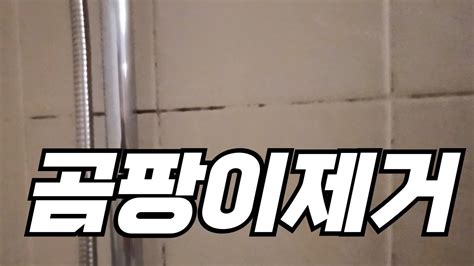 락스 사용법 기초편 [욕실 곰팡이 제거] Youtube