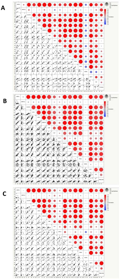 Correlation Matrices Showing Correlation Values Between The Expression