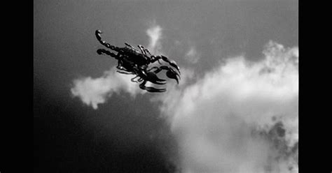 Park Pictures Tecate Keep It Flowing