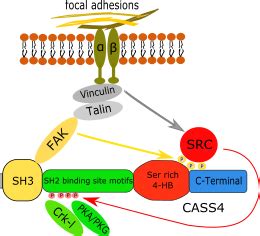 How To Open Pka Files Fasrlu