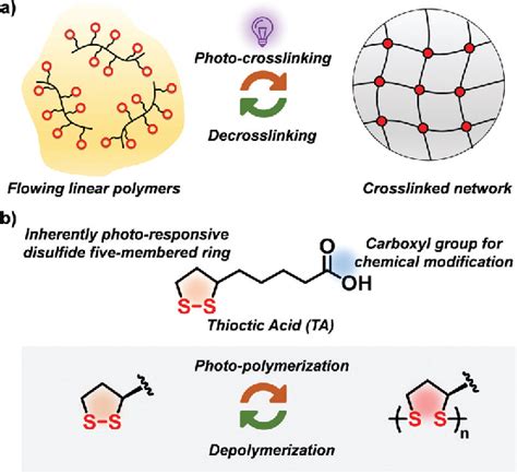 Figure 1 From Photo Crosslinking Polymers By Dynamic Covalent Disulfide