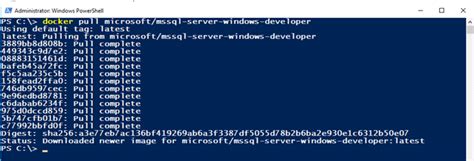 Docker Commands With Examples For Sql Server Dbas Part
