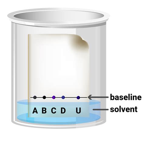 Chromatography Aqa Required Practical Revisechemistry Uk