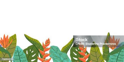 복사 공간이 있는 여름 열대 배너입니다 정글 나뭇잎과 붉은 꽃 질감 효과 배경 초대장 광고 포스터 표지에 대한 평면 그림 0명에 대한 스톡 벡터 아트 및 기타 이미지