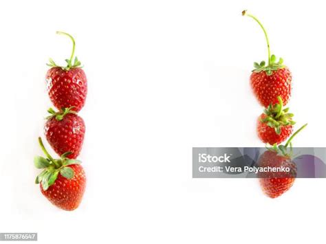 나뭇잎 딸기 2 개의 수직 행 프레임 수확 잘 익은 열매 디저트 컬러 사진 가득 찬에 대한 스톡 사진 및 기타 이미지 가득