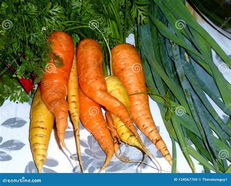 Organically Grown Carrots And Parsnips Displayed On A Table Stock Image Image Of Celery