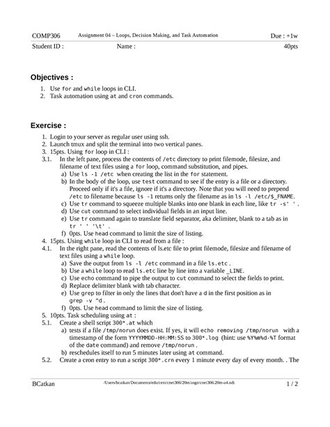 Cnet306 Inclass Assignment Comp306 Assignment 04 Loops Decision