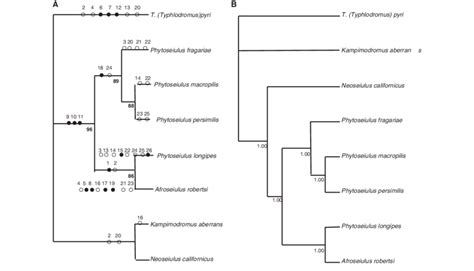 Majority Rule Consensus Trees Obtained After Parsimony Analysis A Download Scientific Diagram