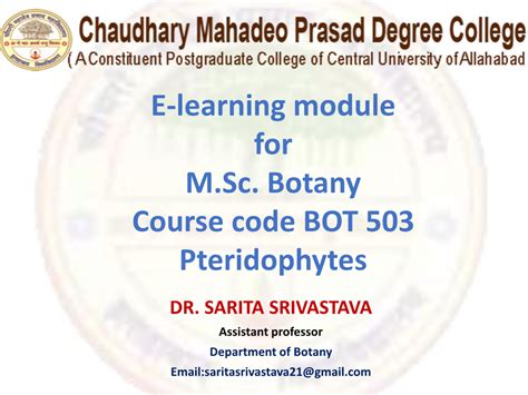 Pteridophytes First Land Plants Docslib