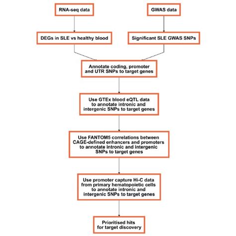 Diagram Showing A Schematic Representation Of The Workflow And The Download Scientific Diagram