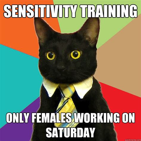 Sensitivity Training Only Females Working On Saturday Business Cat