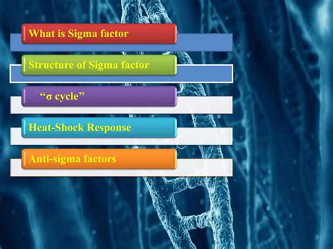 Role Of Sigma Factor Pptx