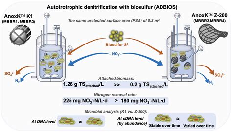Dr Umer Zeeshan Ijaz