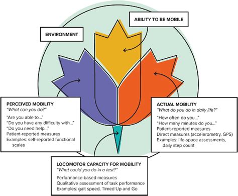 Unified Framework For Mobility Measurement In Older Persons Download