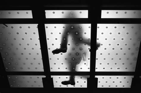 배경 화면 화이트 검은 단색화 실루엣 무늬 니콘 35mm 모노 검정색과 흰색 Bw 검정 흰색 모양 디자인 영화 감독 만료 된 필름 가구