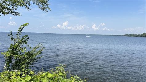 Un Projet Pour La Sensibilisation Des Cyanobactéries Dans La Baie