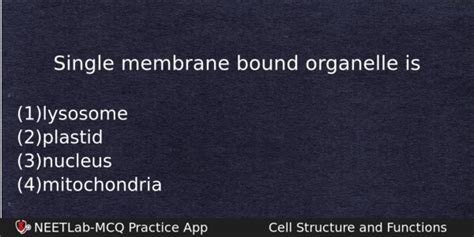 Single Membrane Bound Organelle Is Neetlab