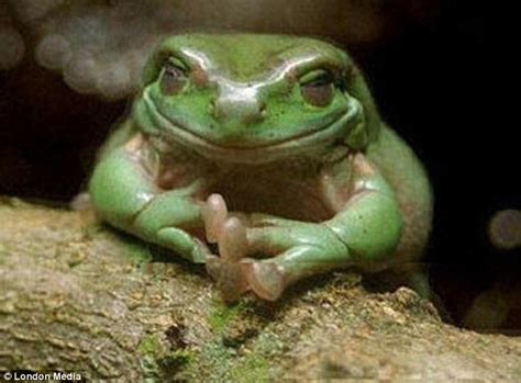 What You Looking At Hilarious Gallery Showcases The Worlds Most