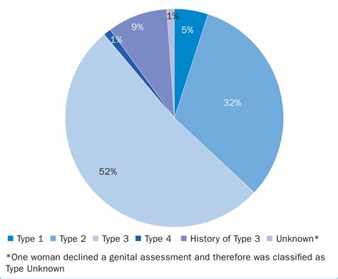 Female Circumcision Type 4