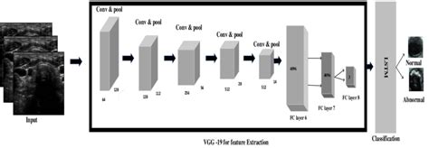 Classification Structure Download Scientific Diagram