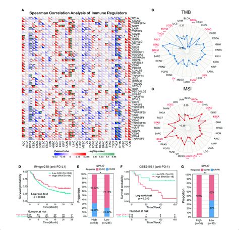 A The Spearman Correlation Heatmap Shows The Correlation Between Download Scientific