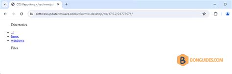 How To Download Vmware Workstation Pro 17 Without Broadcom Account