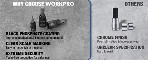 Workpro Torx Bit Socket Set 1 4 3 8 And 1 2 Drive Torx Bits 13 Piece Socket Set T8 T60