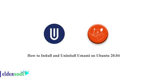 How To Install And Uninstall Umami On Ubuntu 2004