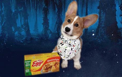 On A Scale Of 0 10 How Excited Is Everyone For The Season 2 Premiere