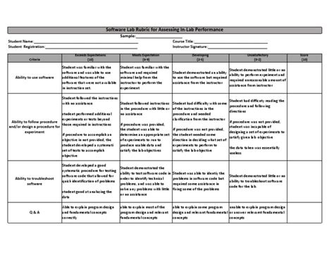 Software Lab Rubric For Assessing In Lab Performance Sample Pdf