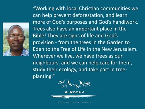 PPT The Life Of Trees The Tree Of Life PowerPoint Presentation ID