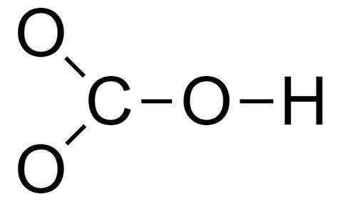 What Is The Lewis Structure For Bicarbonate