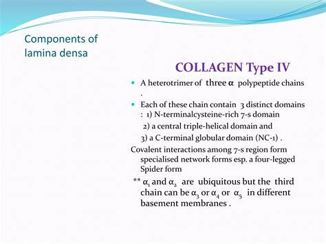Dermo Epidermal Junction Pptx