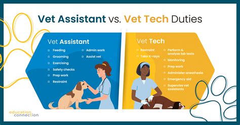 Vet Techs Vs Vet Assistants 2025 Career Comparison