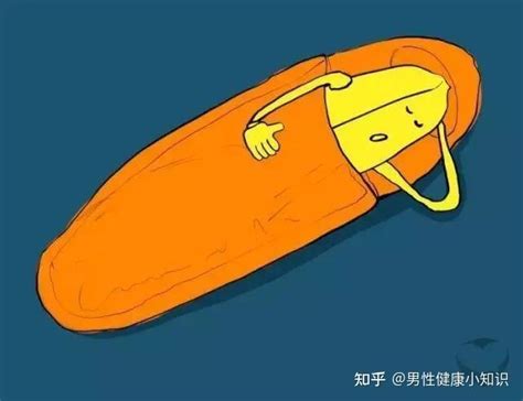 晨勃是每天都会有的吗？ 知乎