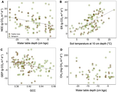Figure 6 From Carbon Stocks And ﬂuxes From A Boreal Conifer Swamp ﬁlling A Knowledge Gap For