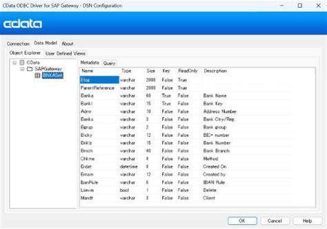 Cdata Sap Driver Deep Dive Use Sap Gateway Service Builder For Sap S